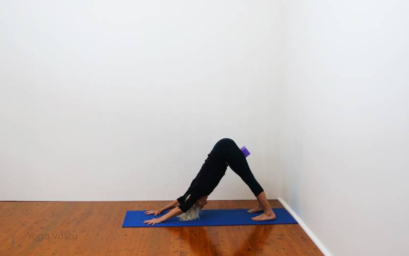 Reclining Bound Angle Pose (Supta Baddha Konasana) | Iyengar Yoga