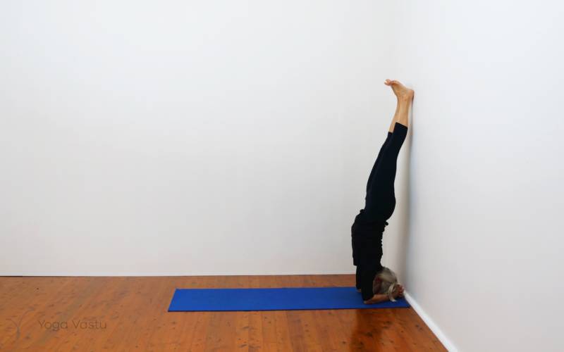 Reclining Bound Angle Pose (Supta Baddha Konasana) | Iyengar Yoga