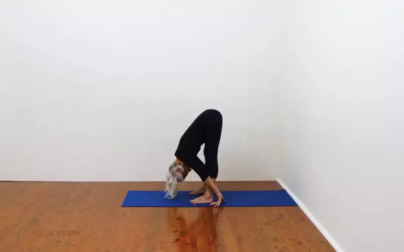 Full Arm Balance (Handstand) (Adho Mukha Vrksasana) | Iyengar Yoga