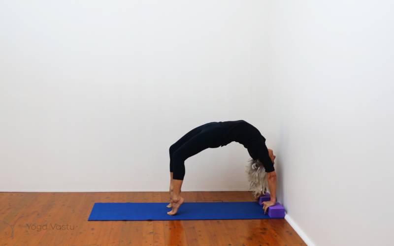Full Arm Balance (Handstand) (Adho Mukha Vrksasana) | Iyengar Yoga