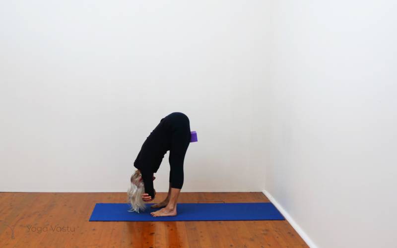 Full Arm Balance (Handstand) (Adho Mukha Vrksasana) | Iyengar Yoga