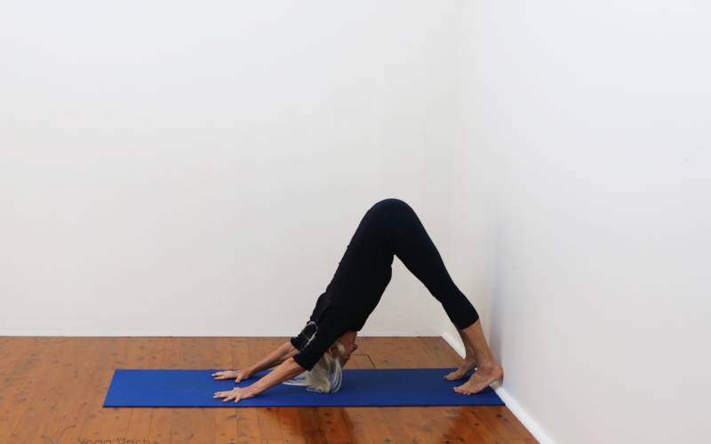 Bridge Pose (Setu Bandha Sarvangasana) | Iyengar Yoga
