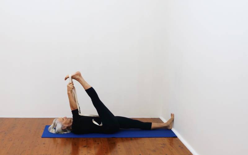 Full Arm Balance (Handstand) (Adho Mukha Vrksasana) | Iyengar Yoga