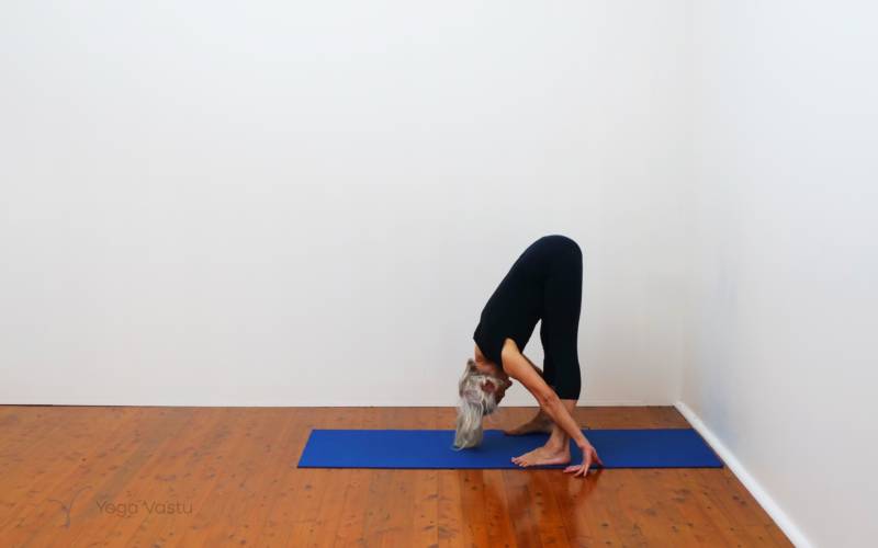Full Arm Balance (Handstand) (Adho Mukha Vrksasana) | Iyengar Yoga