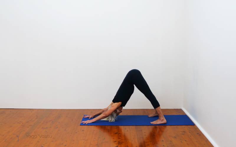 Reclining Bound Angle Pose (Supta Baddha Konasana) | Iyengar Yoga