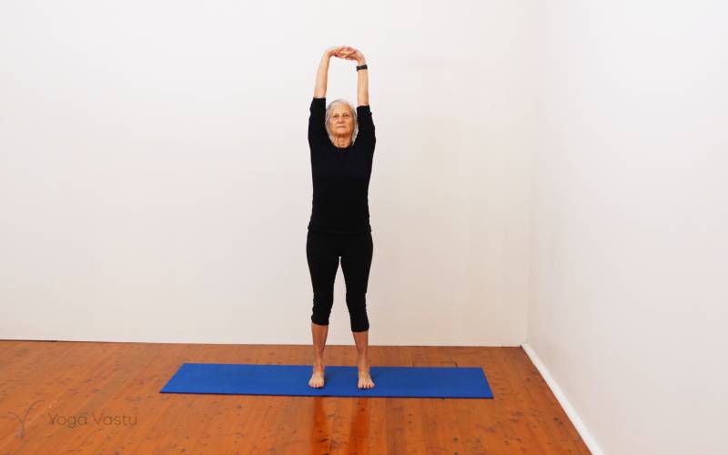 Mountain Pose in Hero Pose (Parvatasana in Virasana) | Iyengar Yoga