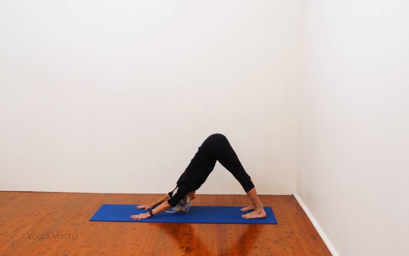 Mountain Pose in Hero Pose (Parvatasana in Virasana) | Iyengar Yoga