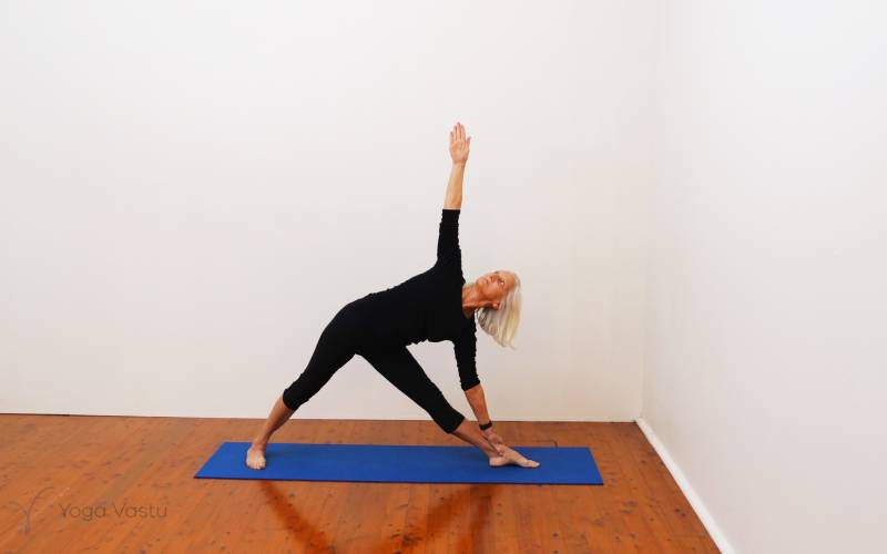 Mountain Pose in Hero Pose (Parvatasana in Virasana) | Iyengar Yoga