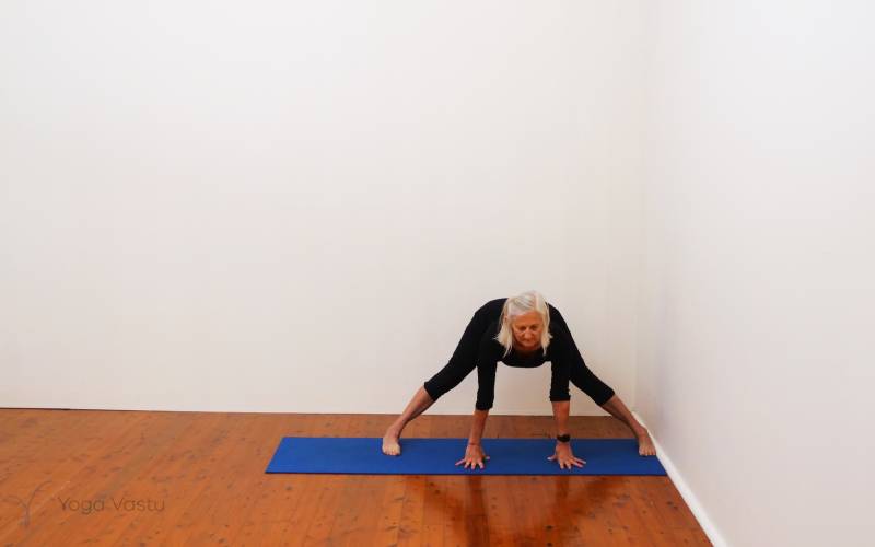 Reverse Prayer Pose (Paschima Namaskar) | Iyengar Yoga