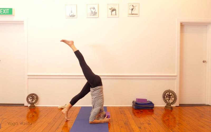 Iyengar yoga videos – balancing asanas - Yoga Vastu