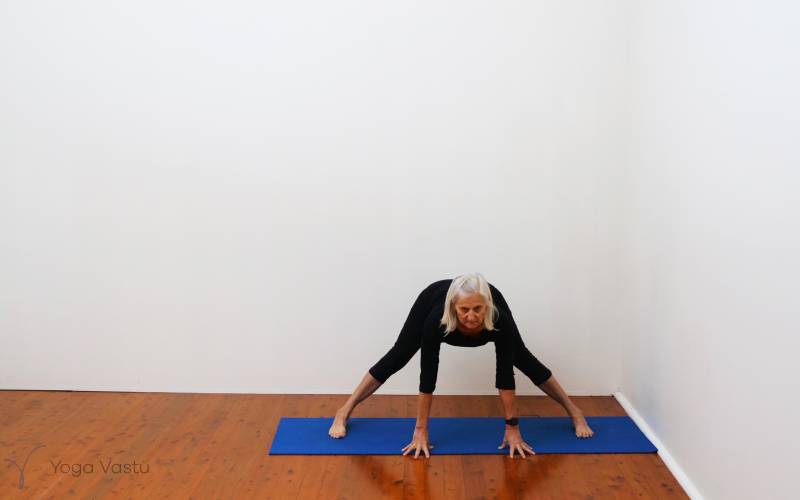 Simple Cross Legs Forward (Adho Mukha Sukhasana) | Iyengar Yoga