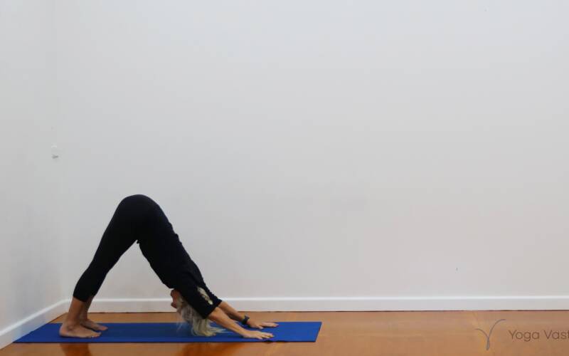 Half-Hour Sessions for a Well-Rounded Practice - Yoga Vastu