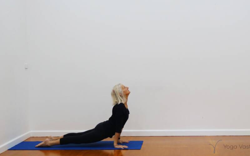 Half-Hour Sessions for a Well-Rounded Practice - Yoga Vastu