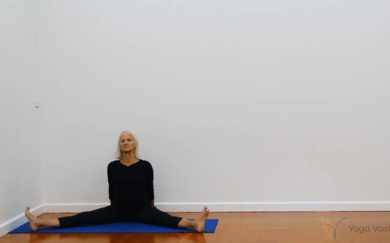 Half-Hour Sessions for a Well-Rounded Practice - Yoga Vastu