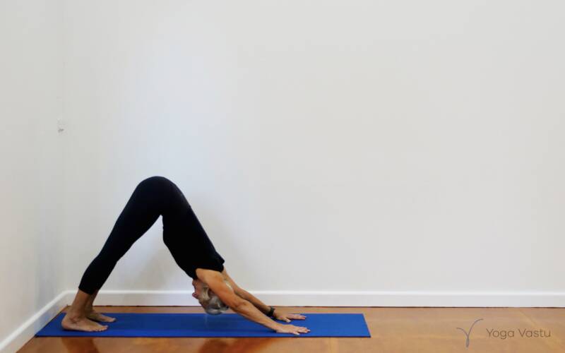 Iyengar yoga videos – backbend asanas - Yoga Vastu