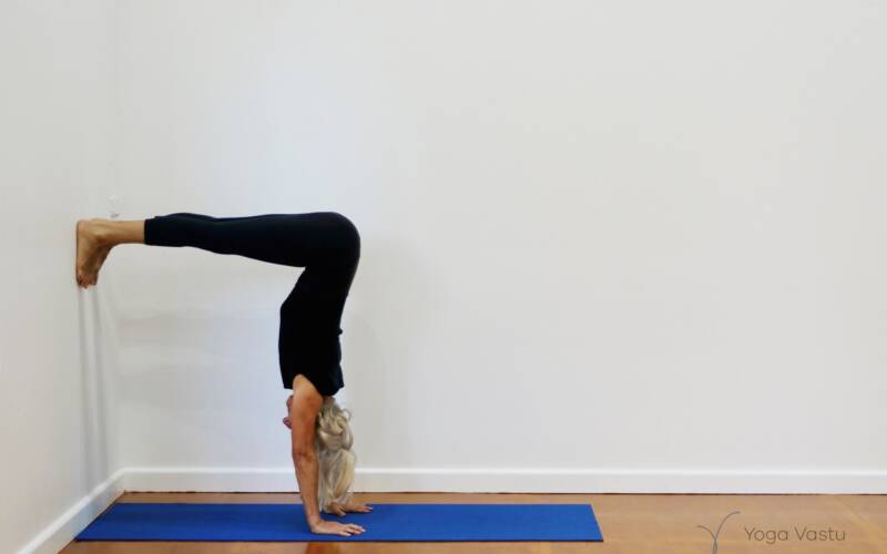 Iyengar yoga videos – backbend asanas - Yoga Vastu