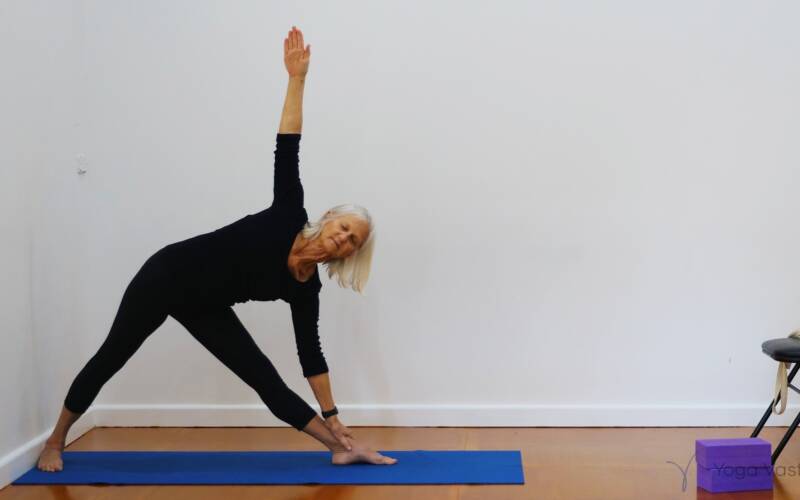 Iyengar yoga videos – standing asanas - Yoga Vastu