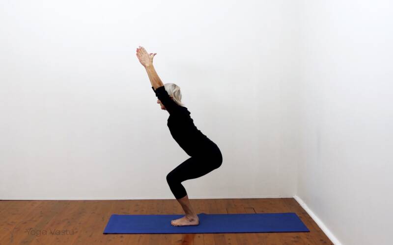 Iyengar yoga videos – backbend asanas - Yoga Vastu