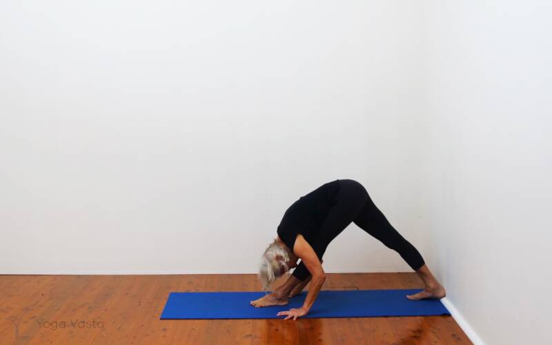 Iyengar yoga videos – backbend asanas - Yoga Vastu