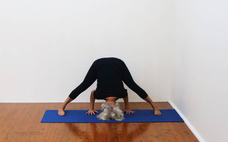 Iyengar yoga videos – backbend asanas - Yoga Vastu