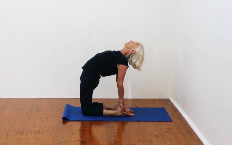 Iyengar yoga videos – backbend asanas - Yoga Vastu