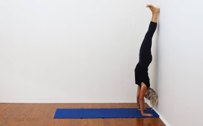 Iyengar yoga videos – backbend asanas - Yoga Vastu