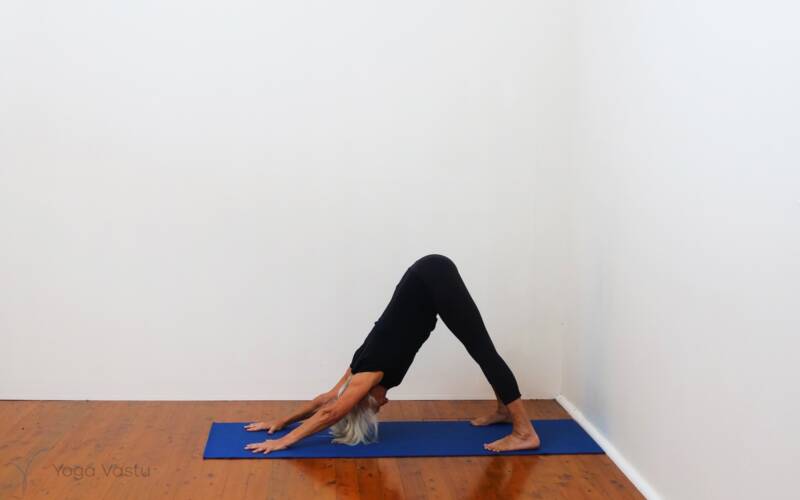 Iyengar yoga videos – backbend asanas - Yoga Vastu