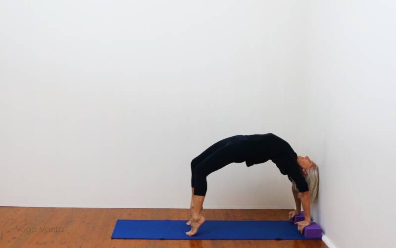 Iyengar yoga videos – backbend asanas - Yoga Vastu