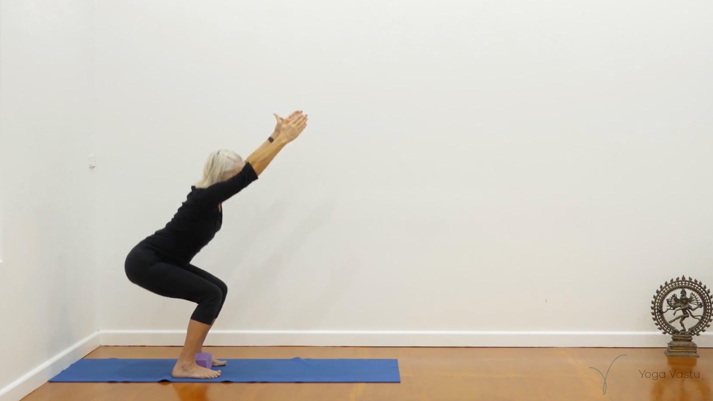 Session with Knee Focus - Yoga Vastu