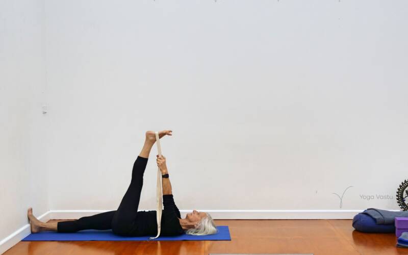 Iyengar yoga videos – backbend asanas - Yoga Vastu