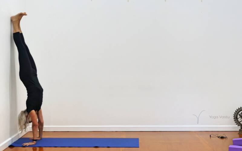 Iyengar yoga videos – backbend asanas - Yoga Vastu