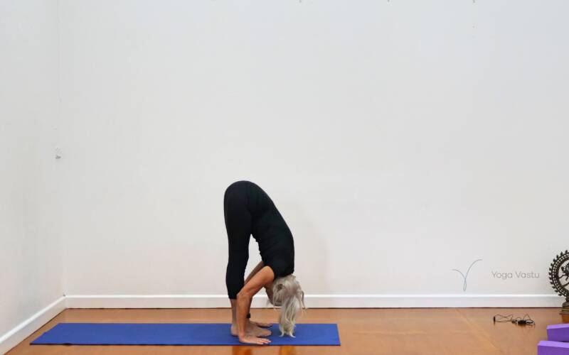 Iyengar yoga videos – backbend asanas - Yoga Vastu