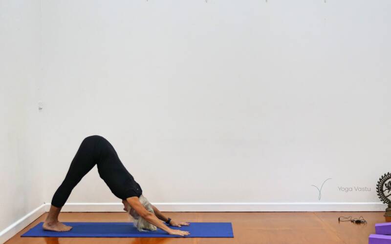 Iyengar yoga videos – backbend asanas - Yoga Vastu