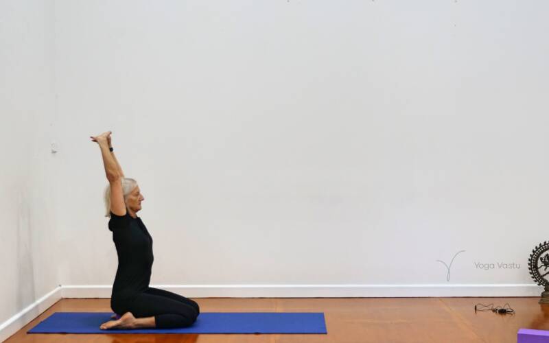 Iyengar yoga videos – backbend asanas - Yoga Vastu