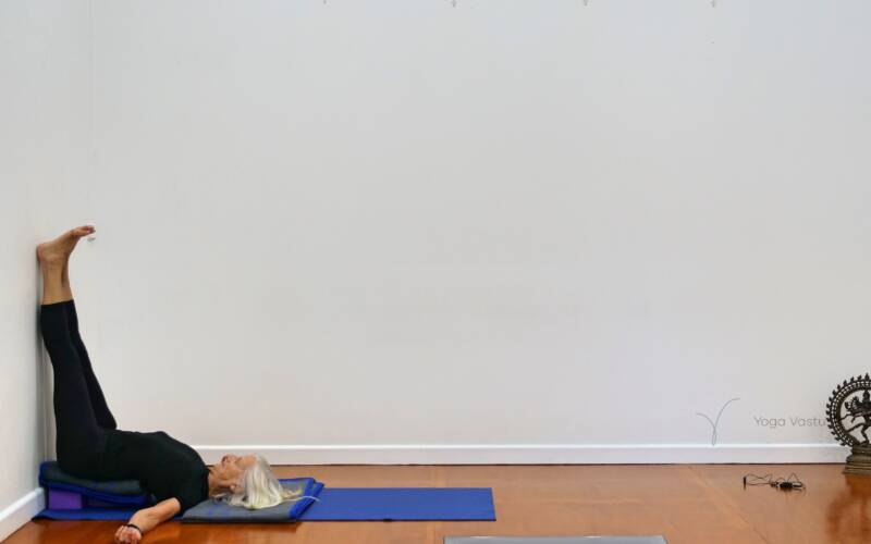 Iyengar yoga videos – backbend asanas - Yoga Vastu