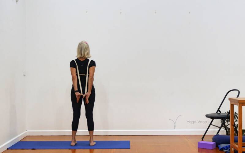 Iyengar Yoga videos for every level, for every need | Yoga Vastu