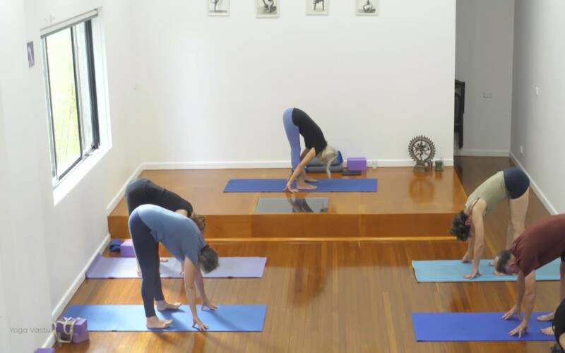 Iyengar yoga videos – sitting & forward bend asanas - Yoga Vastu