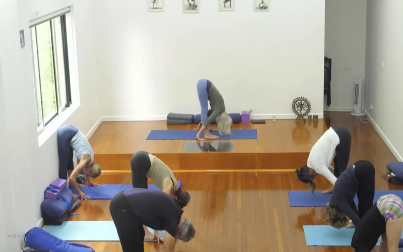 Iyengar yoga videos – pranayama & restorative asanas - Yoga Vastu