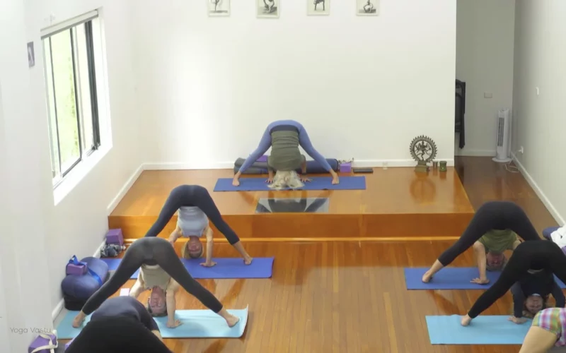 Iyengar yoga videos – pranayama & restorative asanas - Yoga Vastu