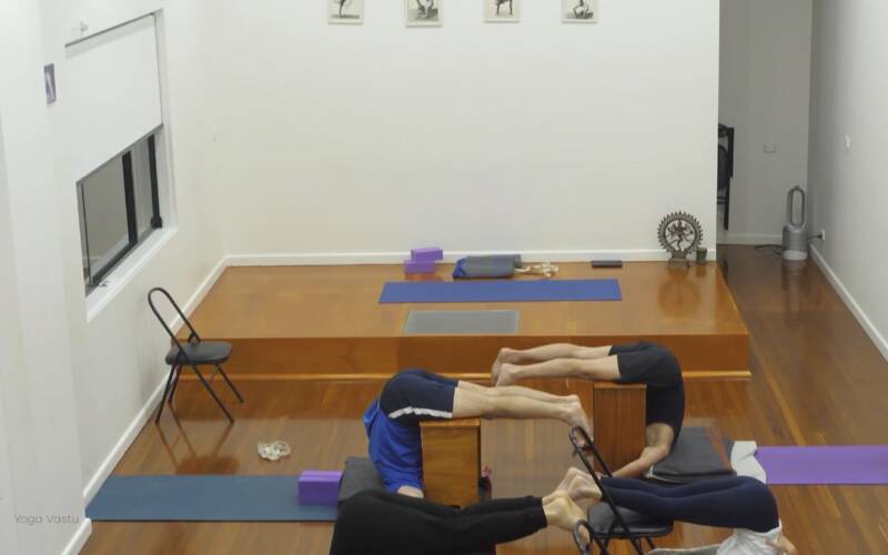 Iyengar yoga videos – backbend asanas - Yoga Vastu