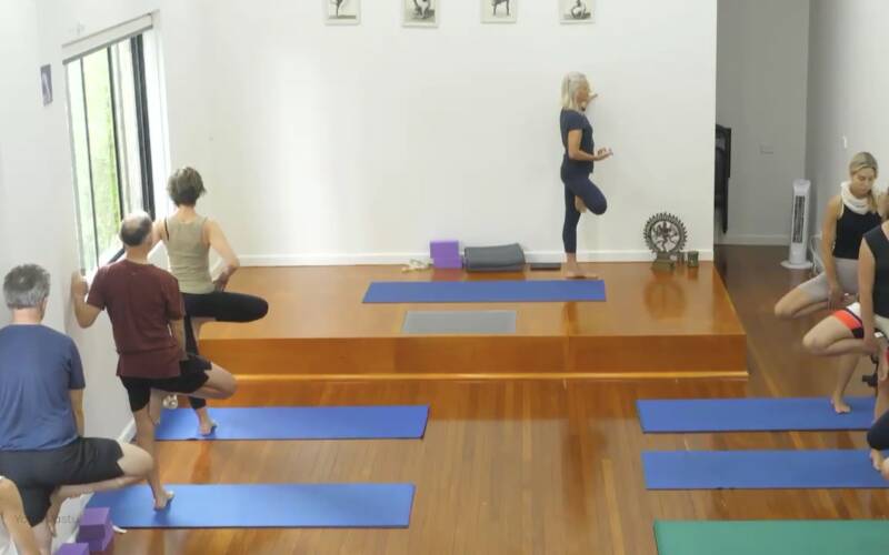 Iyengar Yoga videos for every level, for every need | Yoga Vastu