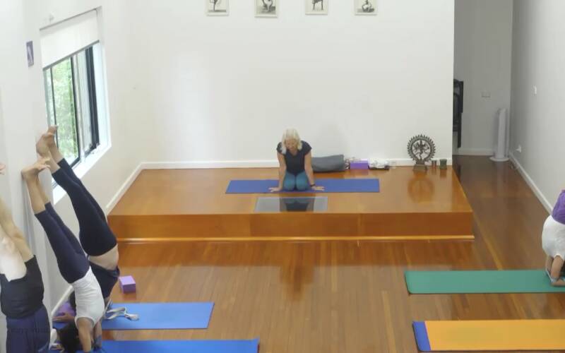 Iyengar Yoga videos for every level, for every need | Yoga Vastu