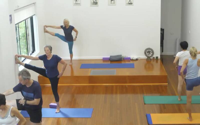 Iyengar Yoga videos for every level, for every need | Yoga Vastu